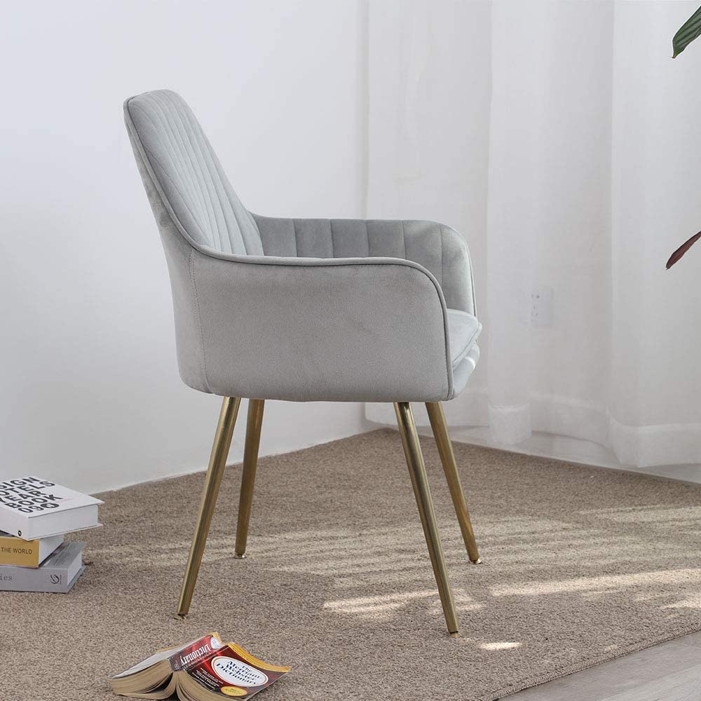 Eula Modern Accent Dining Chair - Decornation